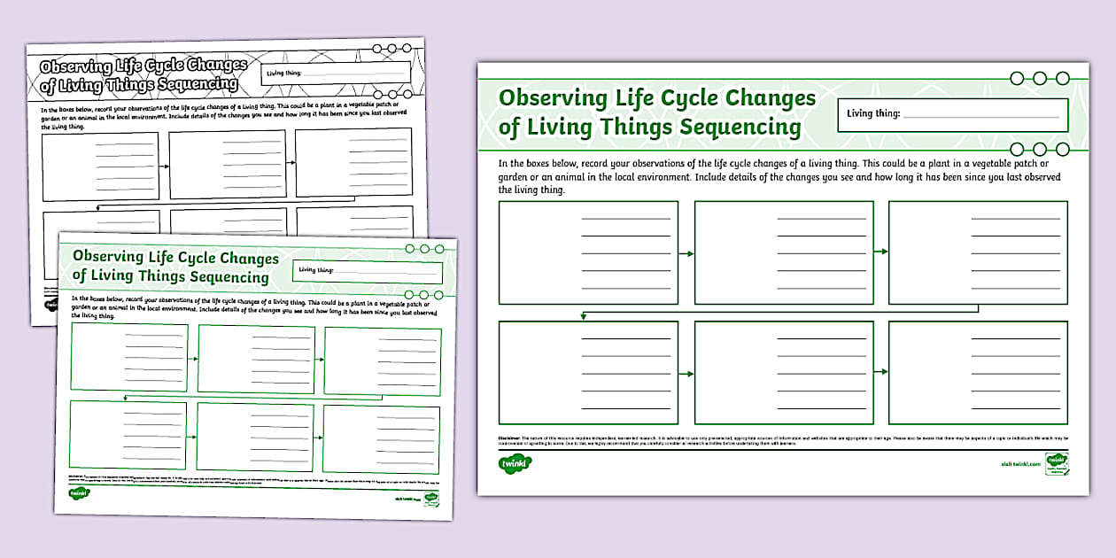 Observing Life Cycle Changes of Living Things Sequencing Mind Map