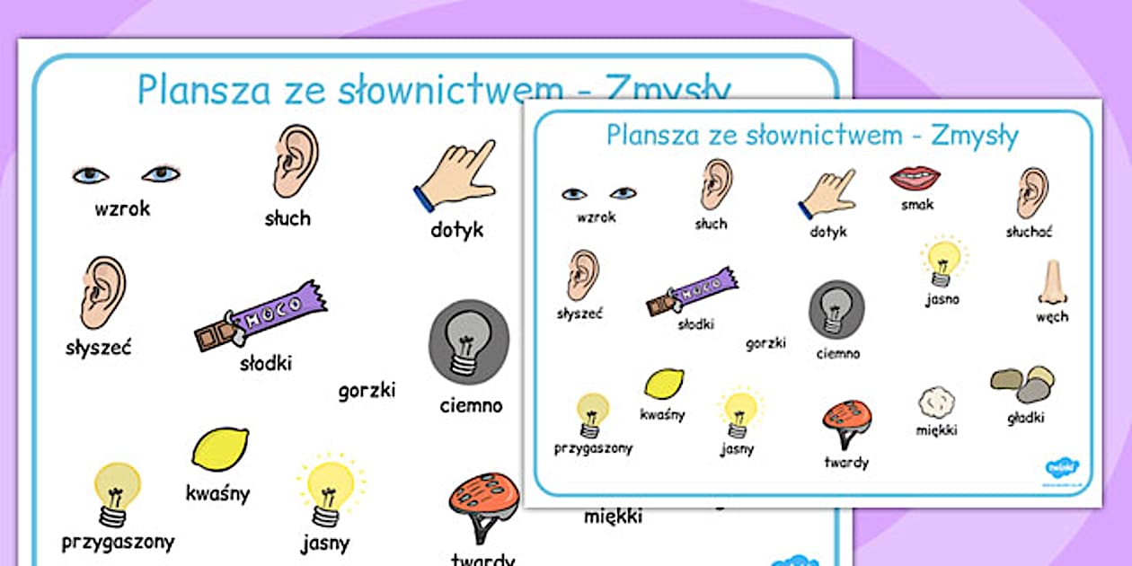 Plansza ze słownictwem Moje zmysły po polsku - Twinkl
