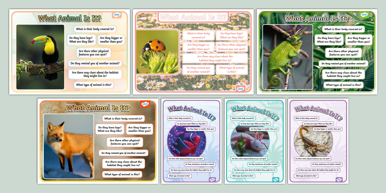 What Animal Is It? Discussion Prompt Poster Pack - Twinkl