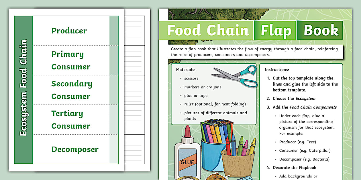 Food Chain Flap Book (teacher made) - Twinkl