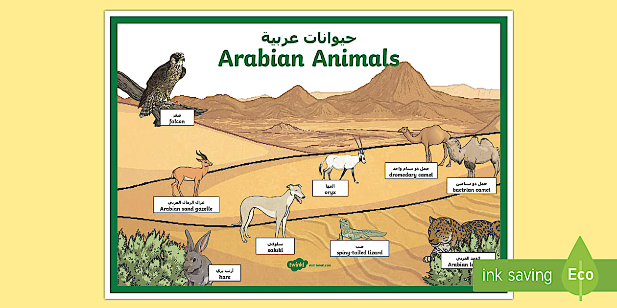 Arabian Animals Display Poster Arabic/English
