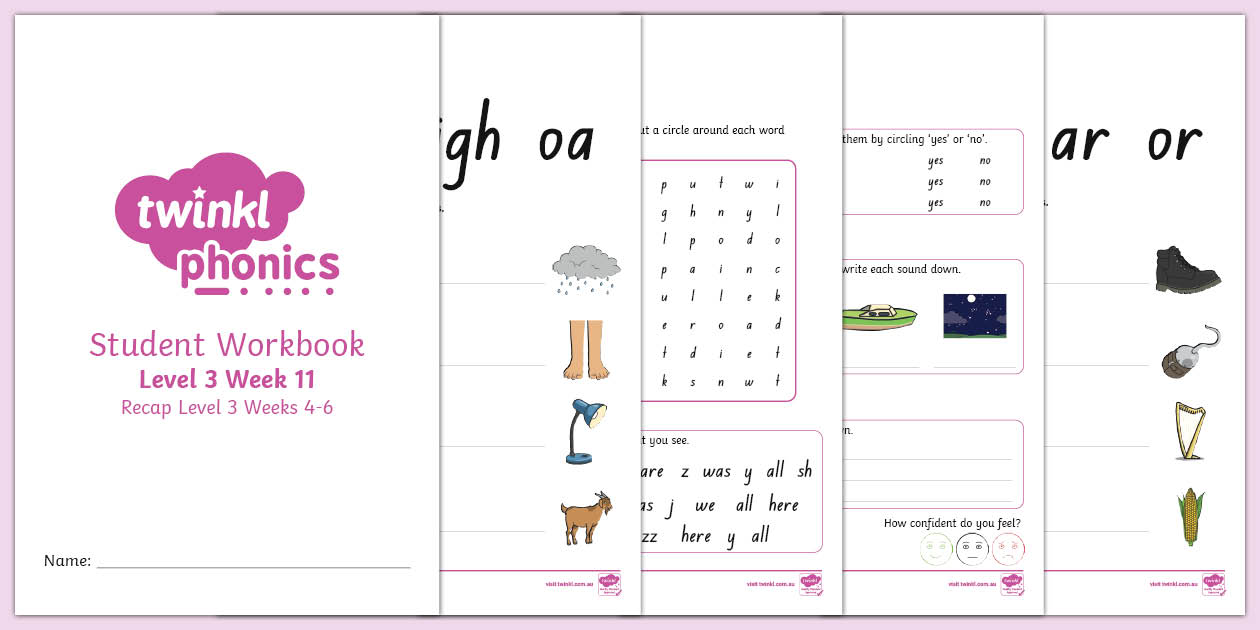 Level 3 Wk 11 Workbook: Form Letters & Word Search