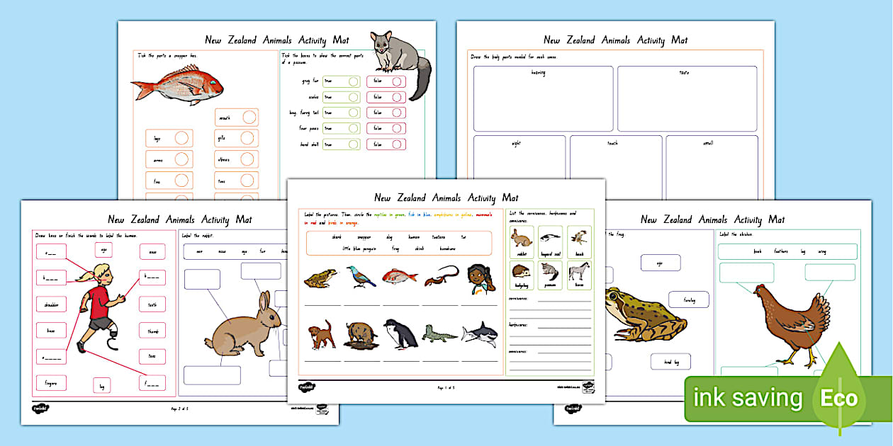 New Zealand Animals Activity Mat - Twinkl