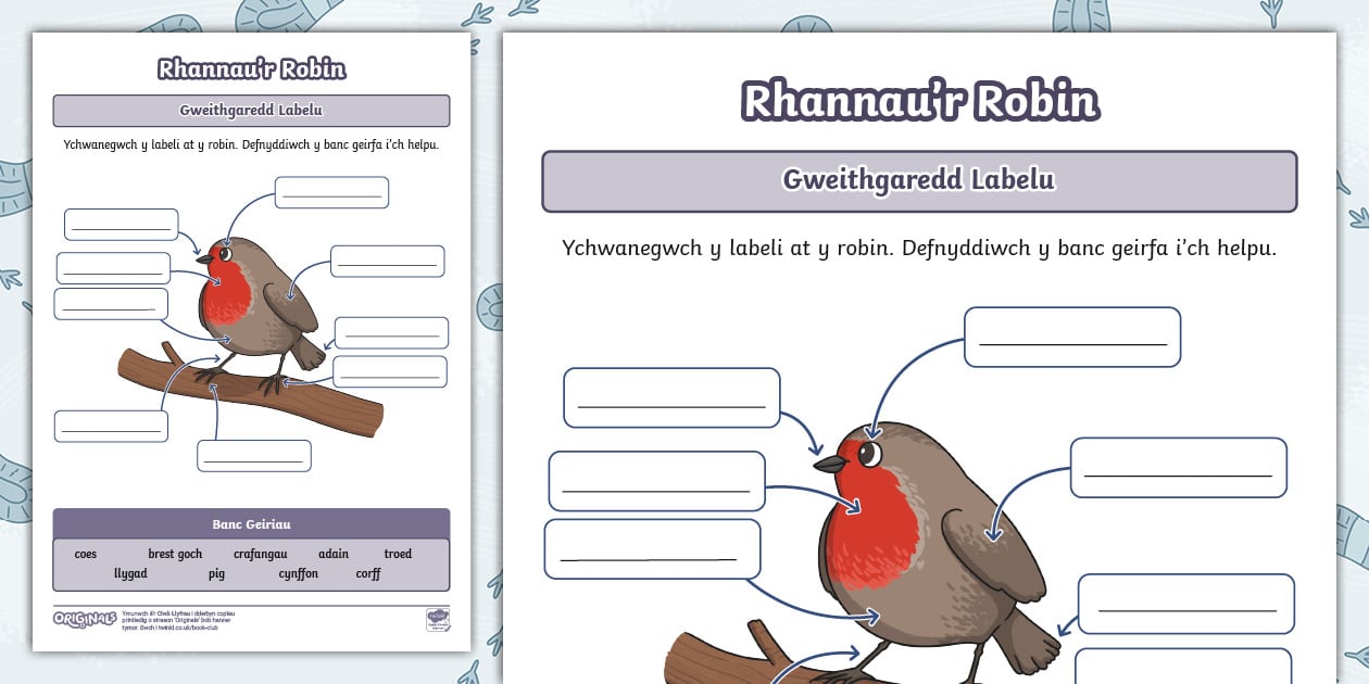Gweithgaredd Labelu Rhannau'r Robin (teacher made) - Twinkl