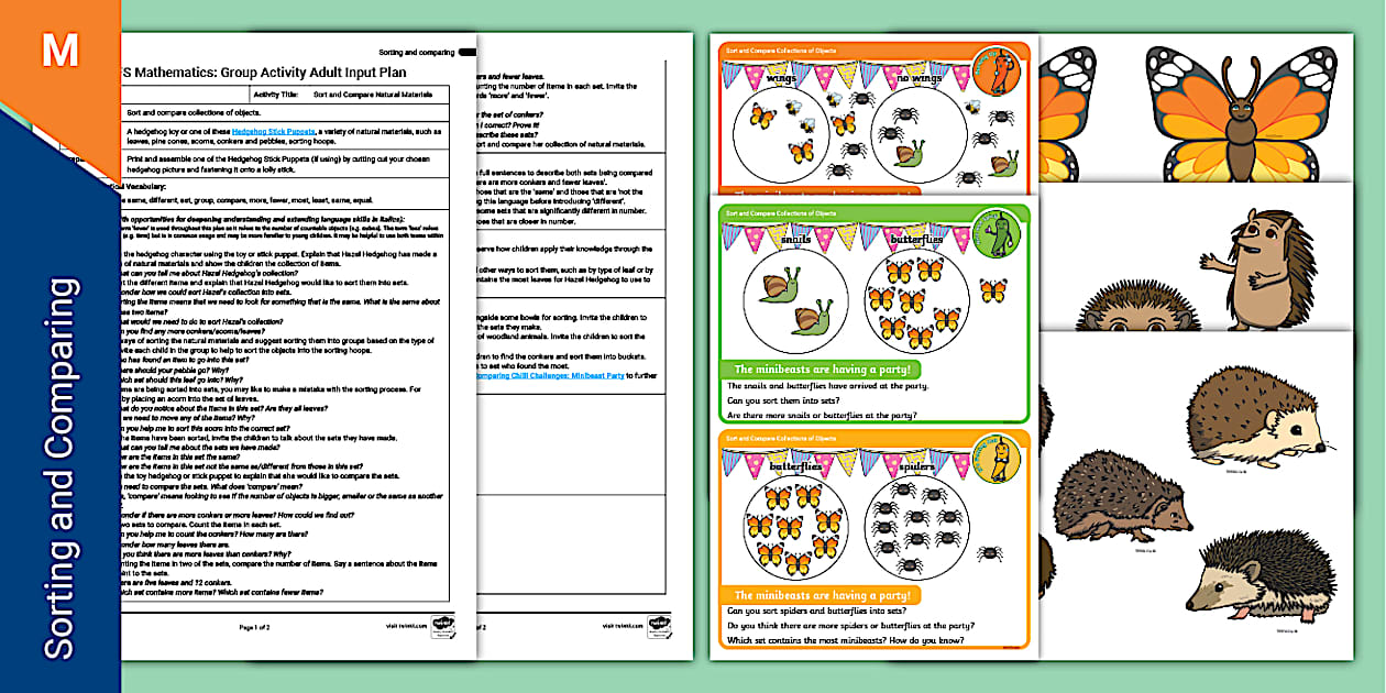 EYFS Maths Sort and Compare Natural Materials Plan and Pack