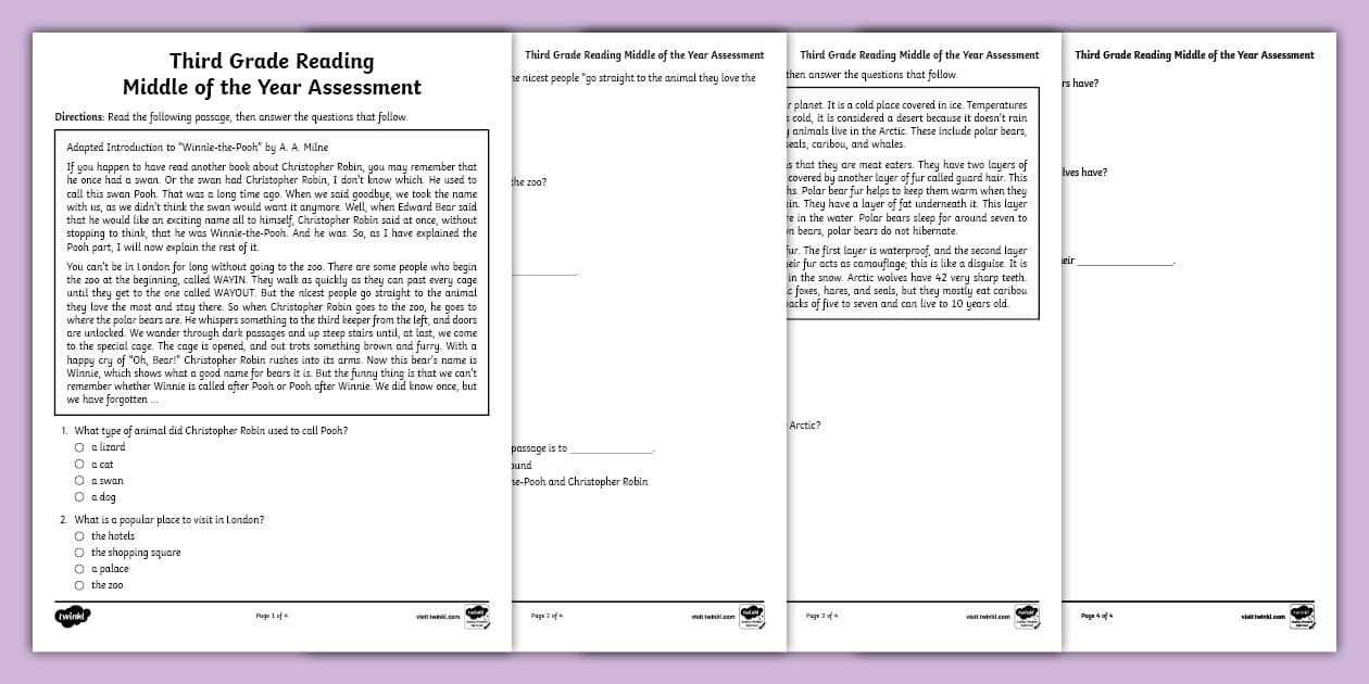 Third Grade Middle of the Year ELA Reading Assessment