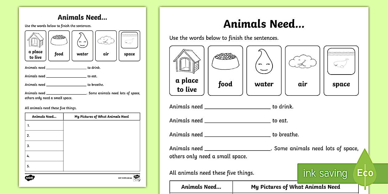Animals Needs Worksheet | Teaching Resource | Twinkl USA