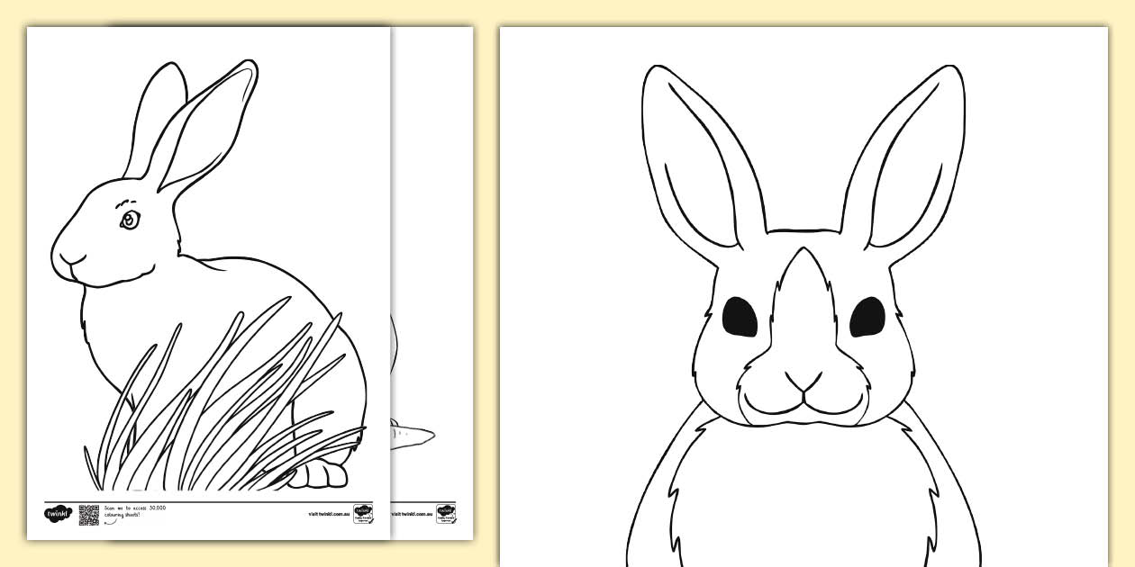 Bunny Rabbit Outline Colouring Pages (teacher made) - Twinkl