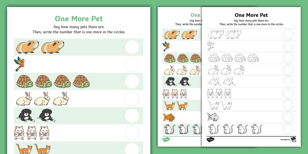 👉 One More Pet Activity | Twinkl (teacher made) - Twinkl