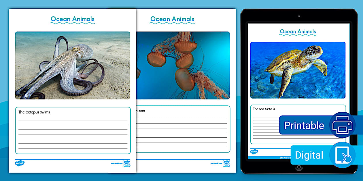 Sea Creature Writing Prompts for Kids | Twinkl USA