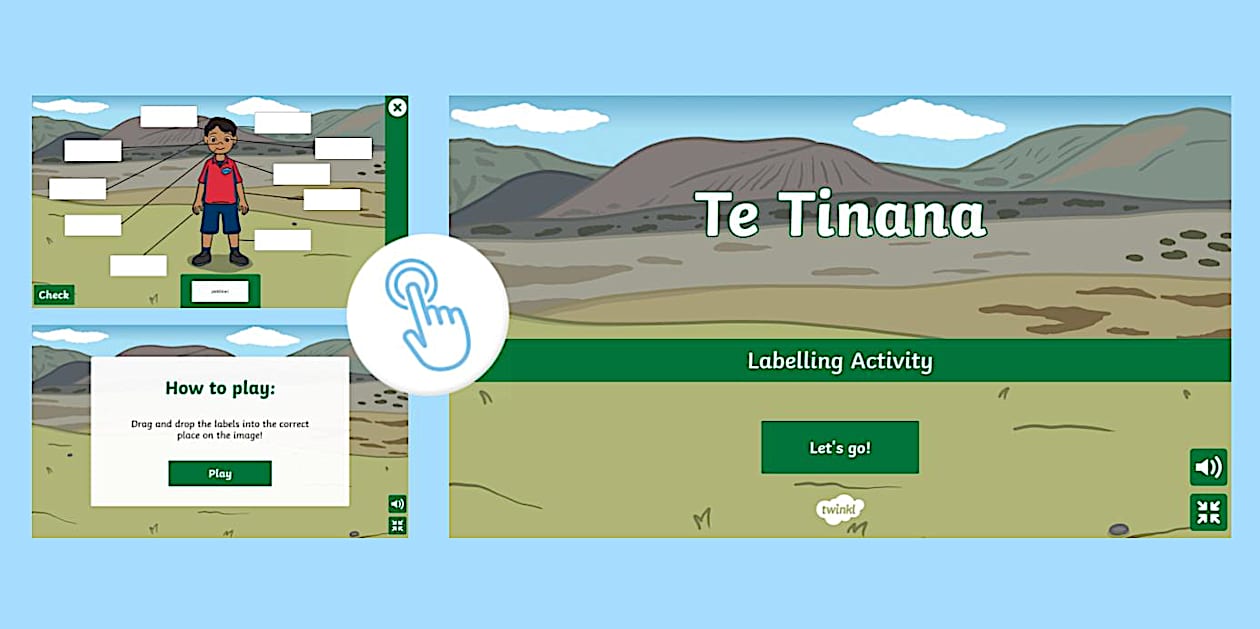 Te Reo Māori: Interactive Te Tinana Labelling Activity
