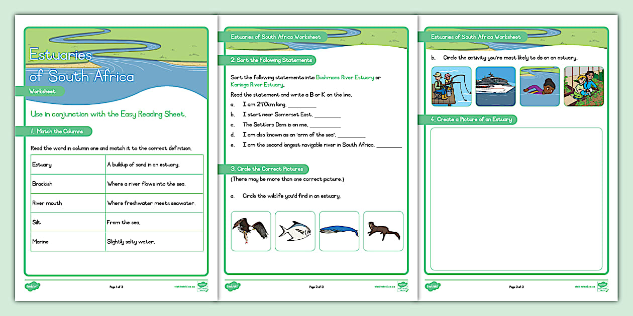 Gr 3/4: Estuaries of South Africa: Worksheet - Twinkl