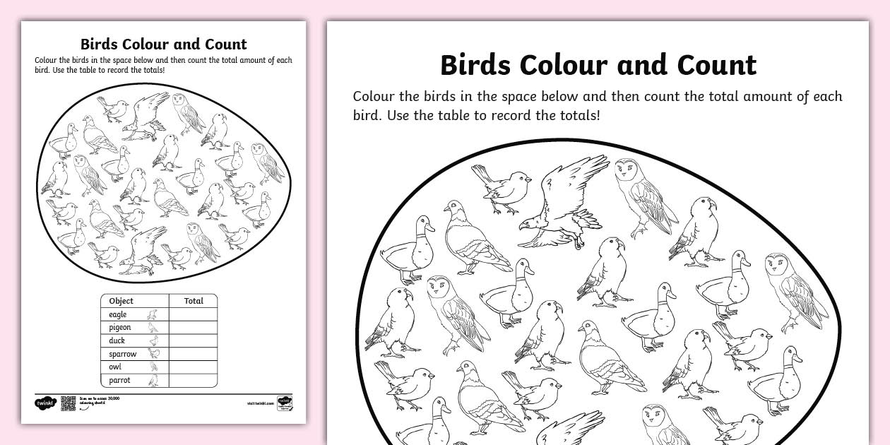👉 Birds Colour and Count Worksheet - Twinkl