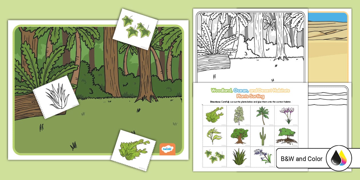 Woodland, Ocean, and Desert Habitats Plants Cut and Paste