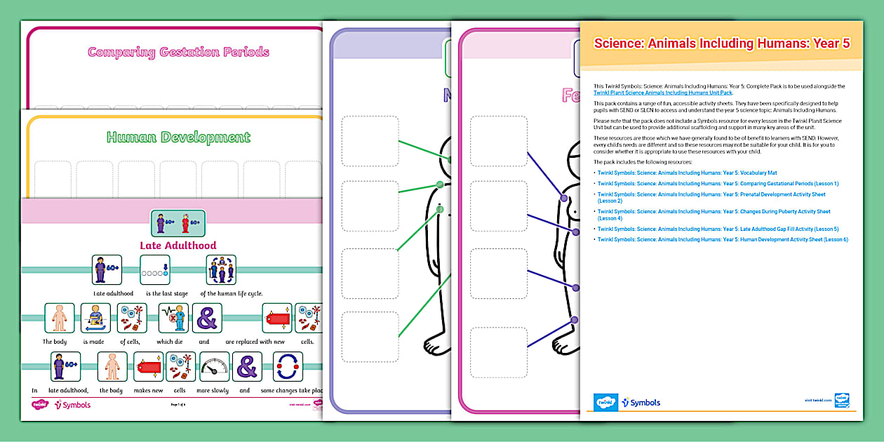 Twinkl Symbols: Science: Animals: Year 5: Complete Pack