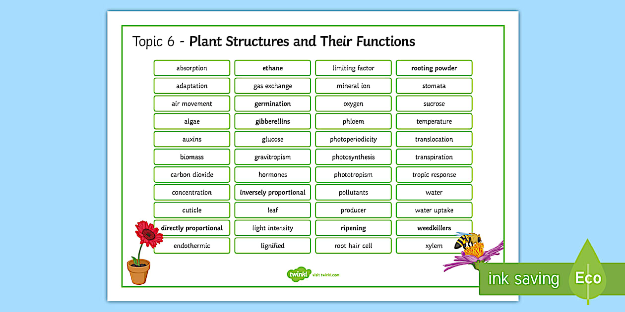 Edexcel Biology Plant Structures and Their Functions Word Mat