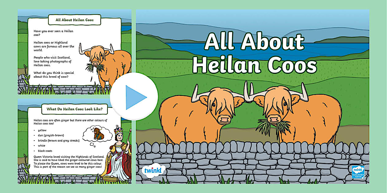 All About Heilan Coos Lesson Plan | PowerPoint Presentation