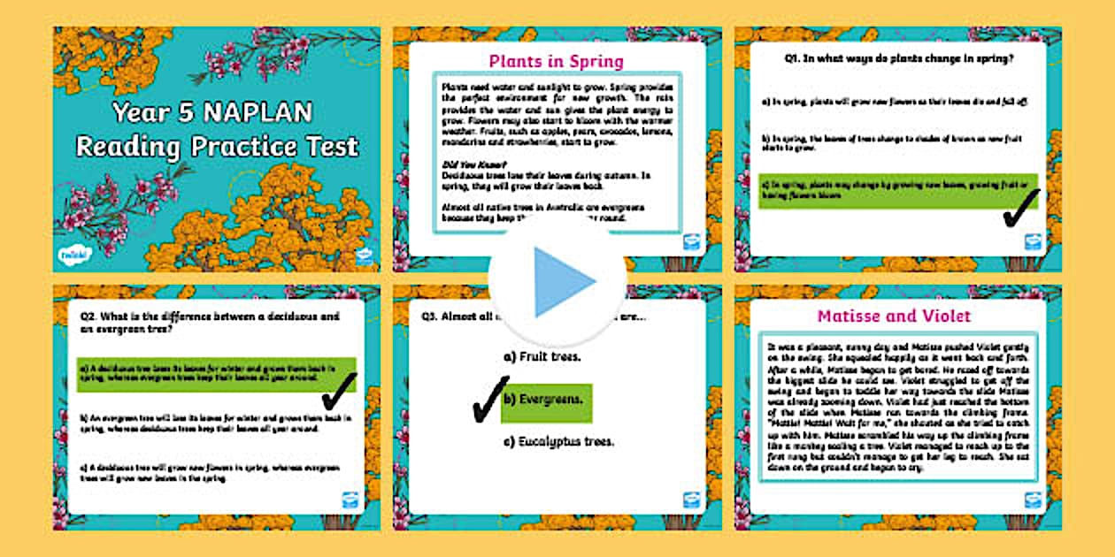 Year 5 NAPLAN Reading Practice Quiz | Primary Teaching