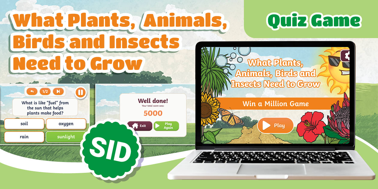 Grade 4 Natural Sciences - Term 1