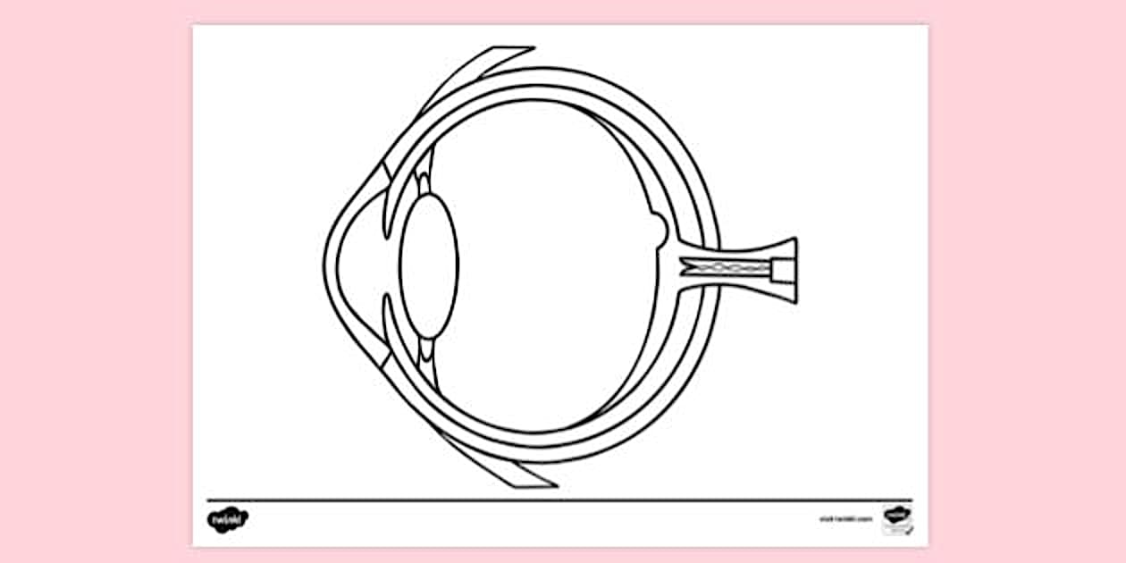 Colouring Sheet | Colouring Sheets