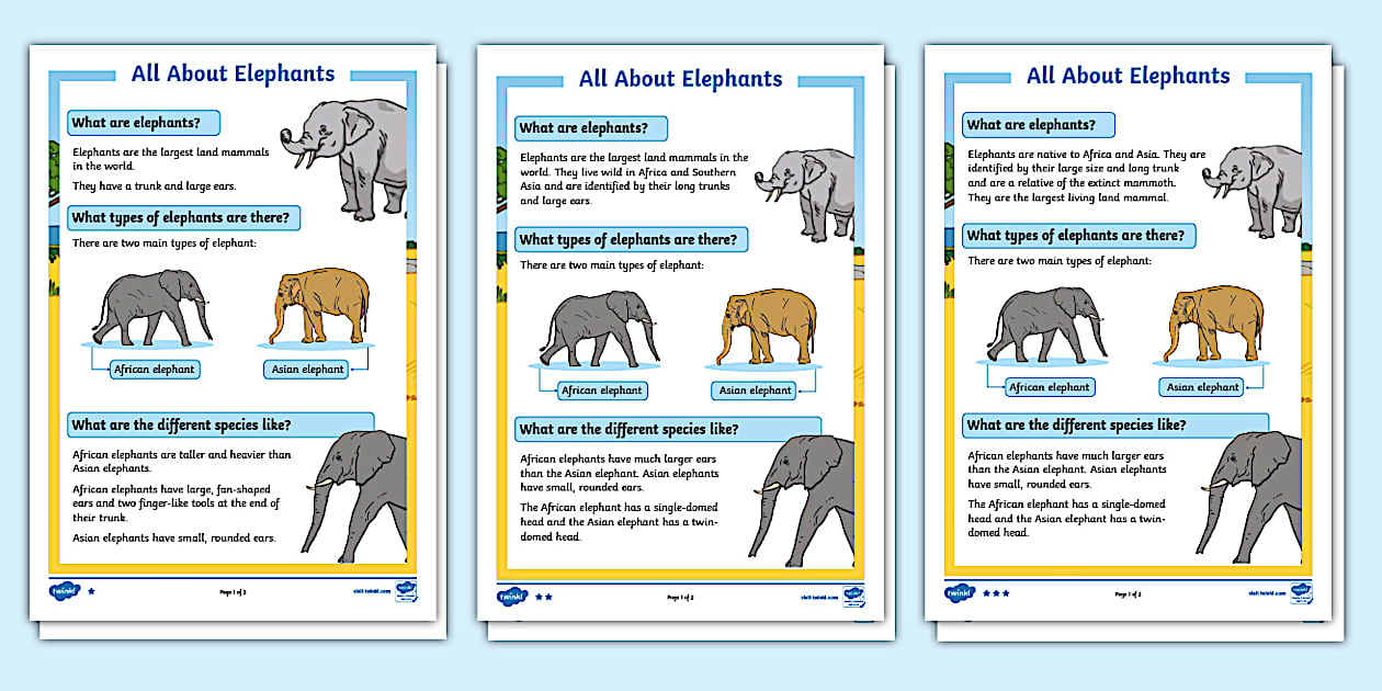 All About Elephants Differentiated Fact File (teacher made)