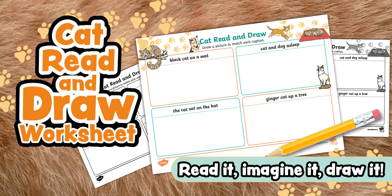 Cat Read and Draw Worksheet