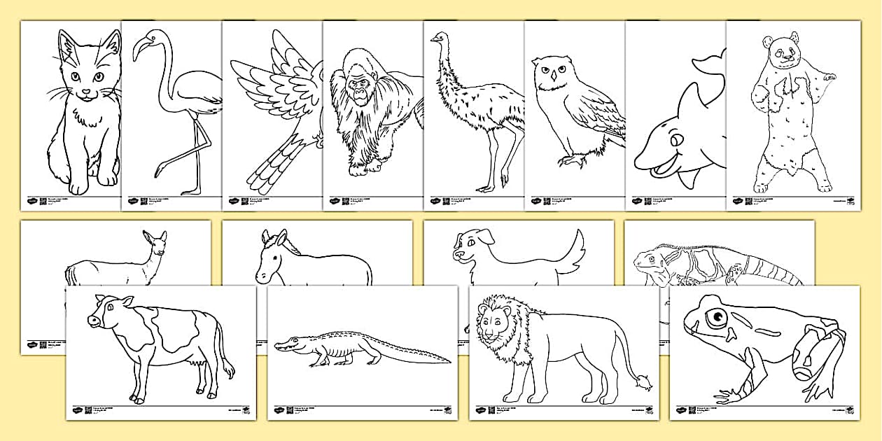 Animal Coloring Sheets - KS1 Resource (Teacher-Made)
