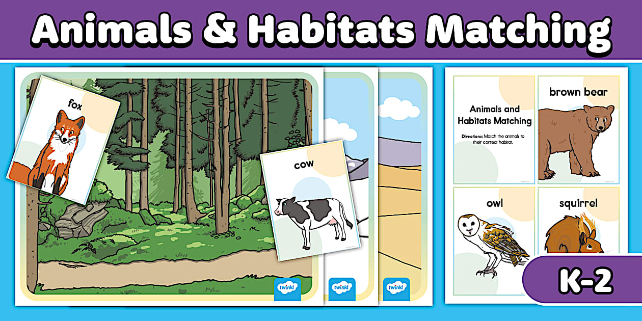Animals and Habitats Matching Activity for K-2nd Grade