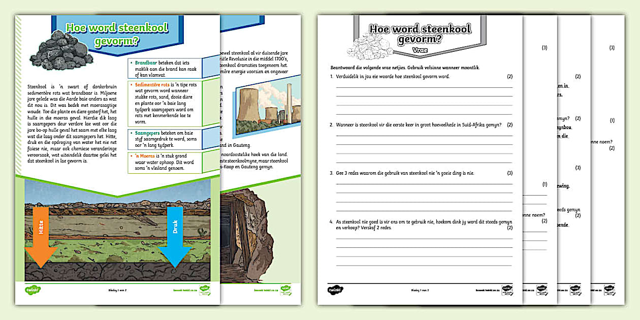 Hoe word steenkool gevorm? (teacher made) - Twinkl