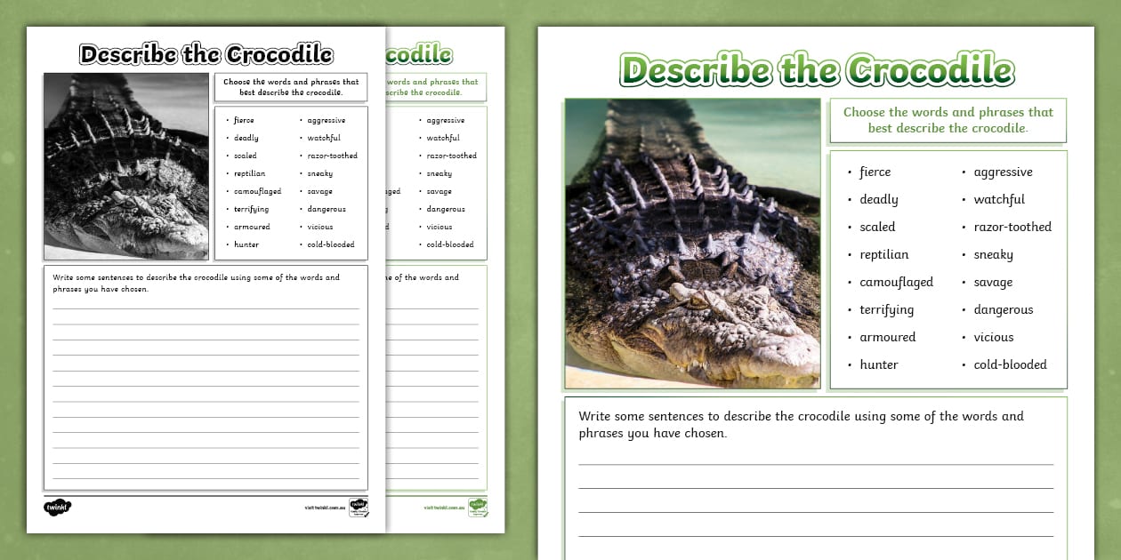 Describe the Crocodile Worksheet (professor feito) - Twinkl