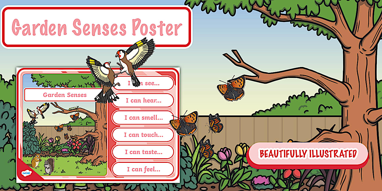 Garden Senses Display Poster