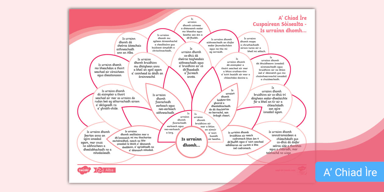 A' Chiad Ìre Cuspairean Sòisealta - Flùr fèin-measaidh