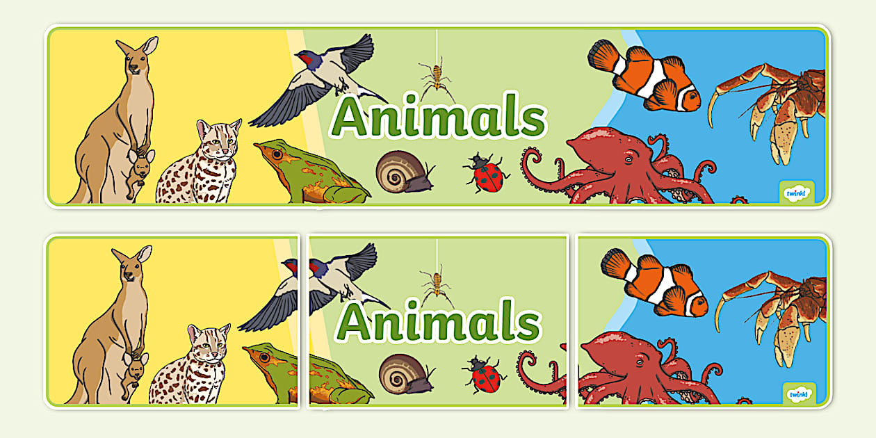 Editable Animals Display Banner - Twinkl - KS1 - Twinkl