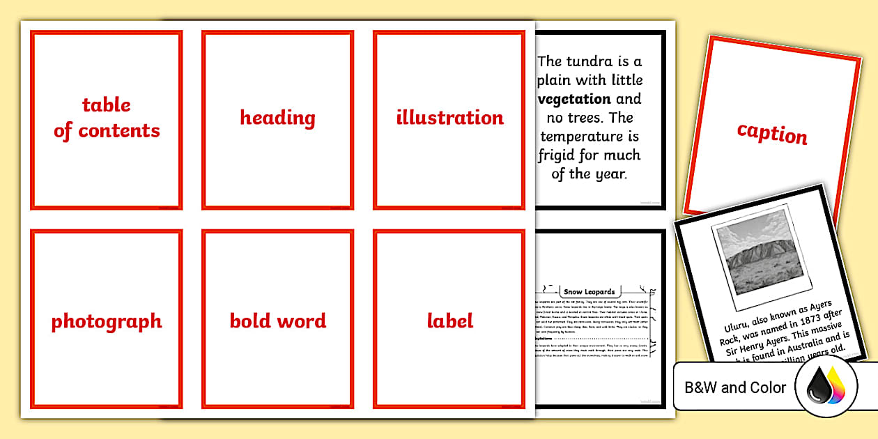 Identifying Text Features Matching Game | Twinkl USA