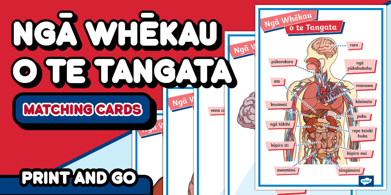 Ngā Whēkau o te Tangata