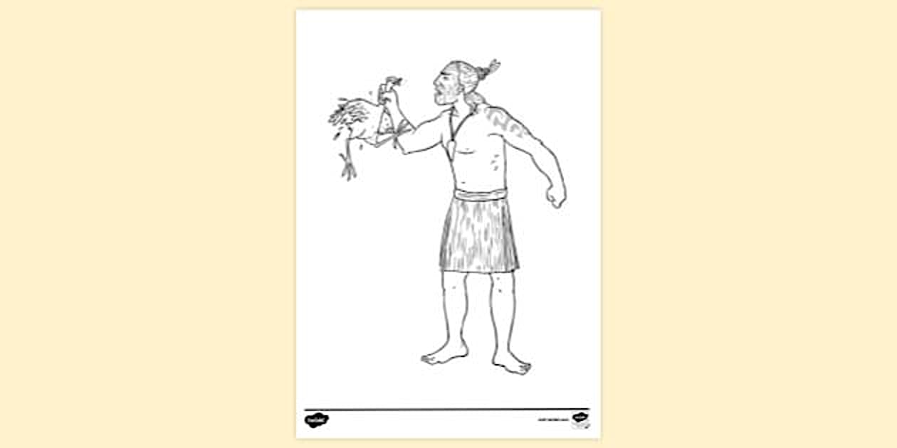 Maui Grabbing Alae Bird Colouring Sheet | Colouring Sheets