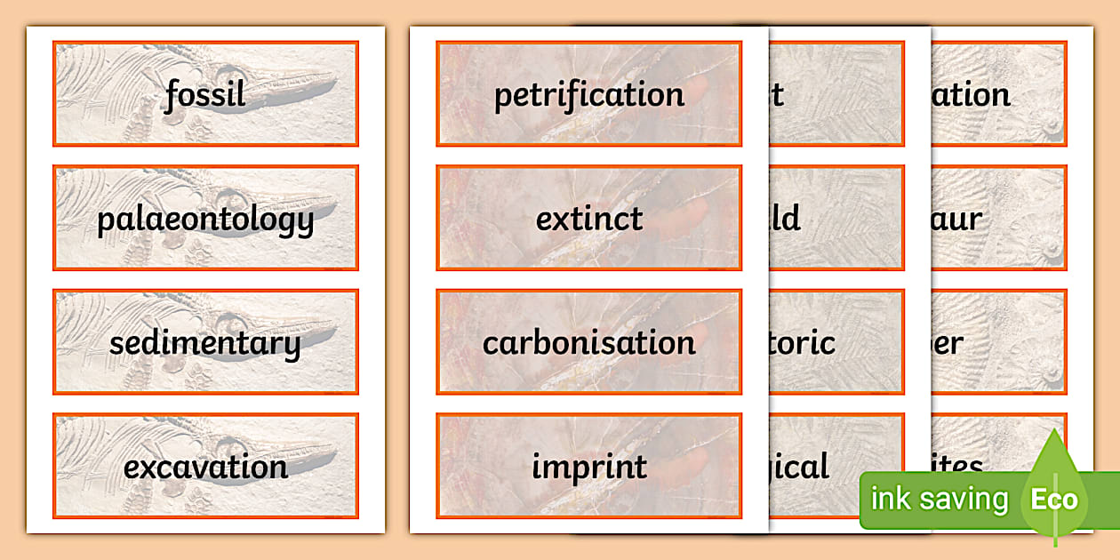 Fossil Word Cards (teacher made) - Twinkl