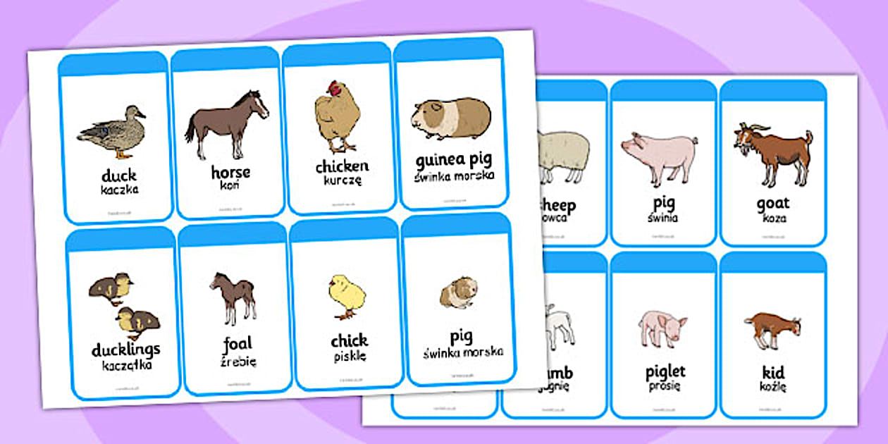 Mothers and their Young Farm Animals Flash Cards Polish Translation