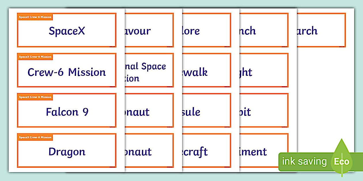 SpaceX Crew-6 Mission - Word Cards