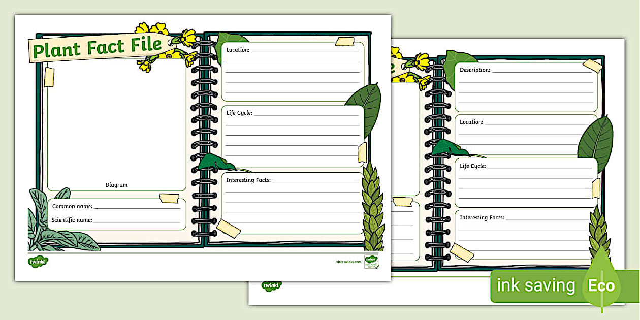 Blank Plant Fact File (teacher made) - Twinkl