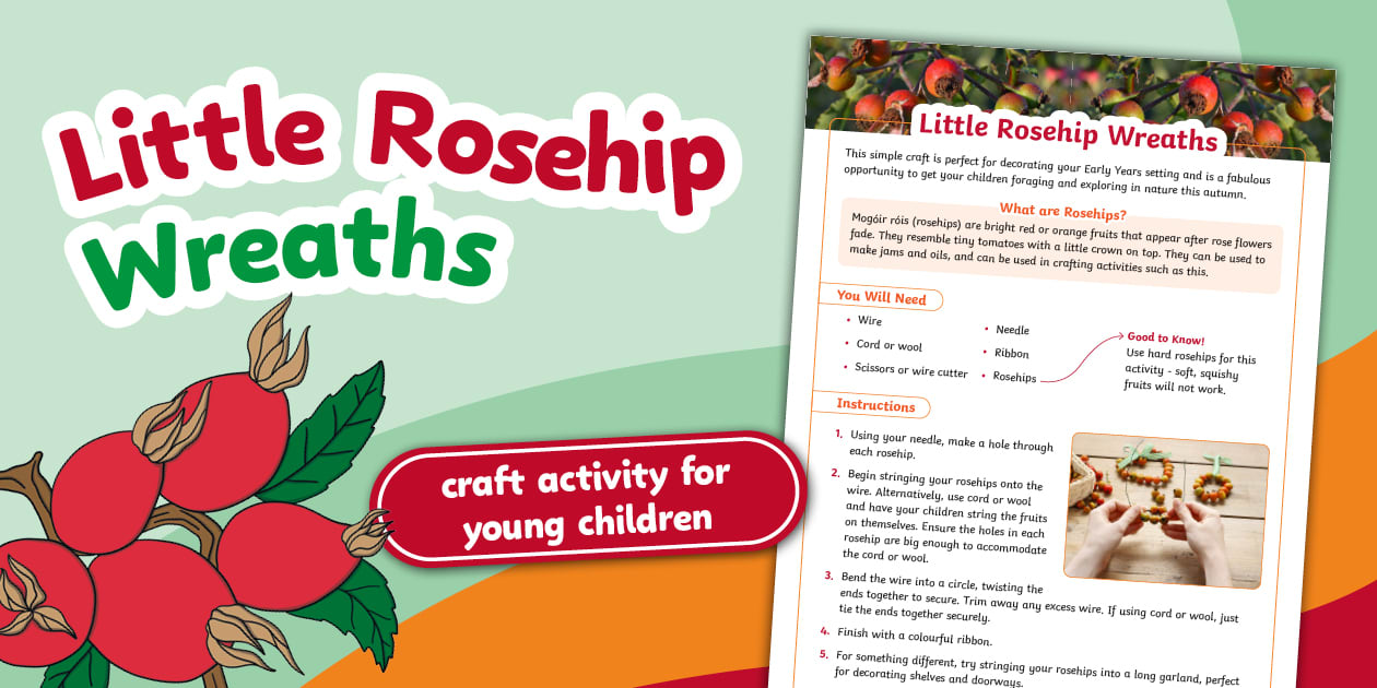Little Rosehip Wreaths Crafts