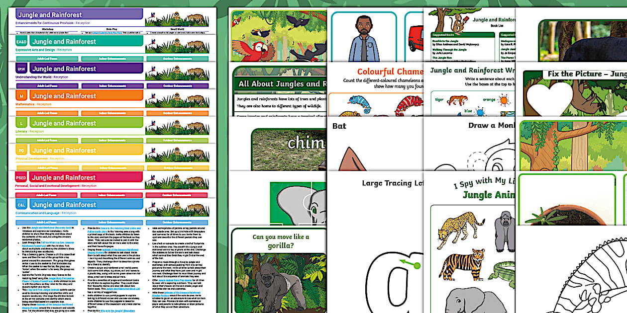 EYFS Jungle and Rainforest Activity Planning Pack Reception