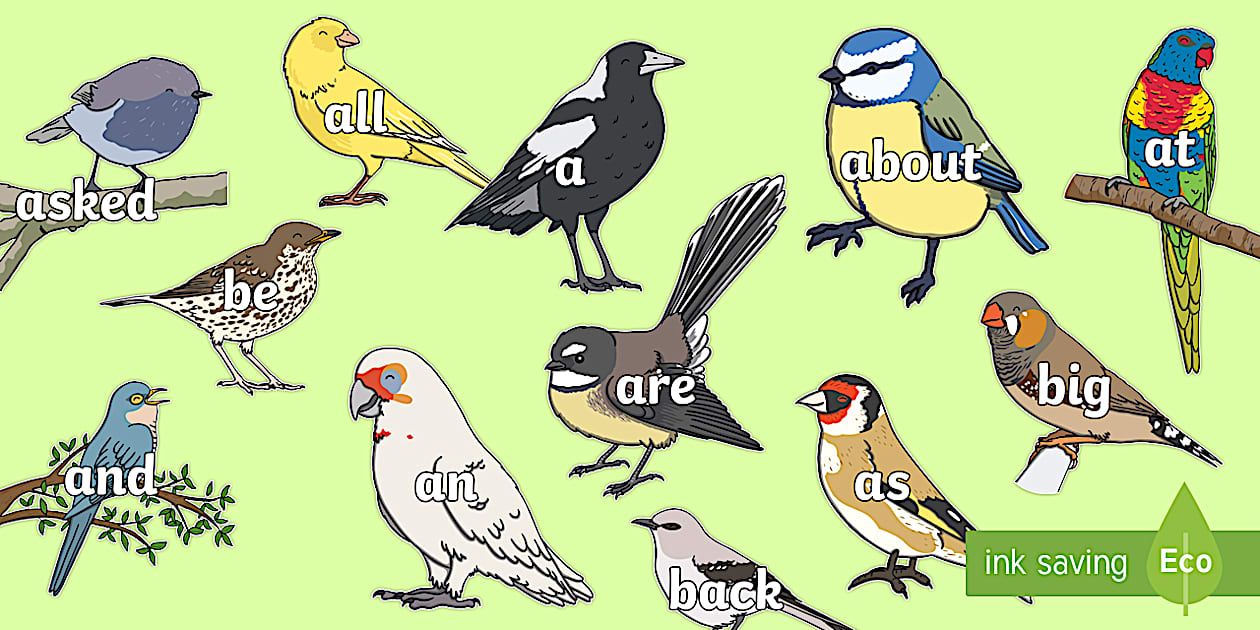 Editable 100 High Frequency Words on Birds (teacher made)