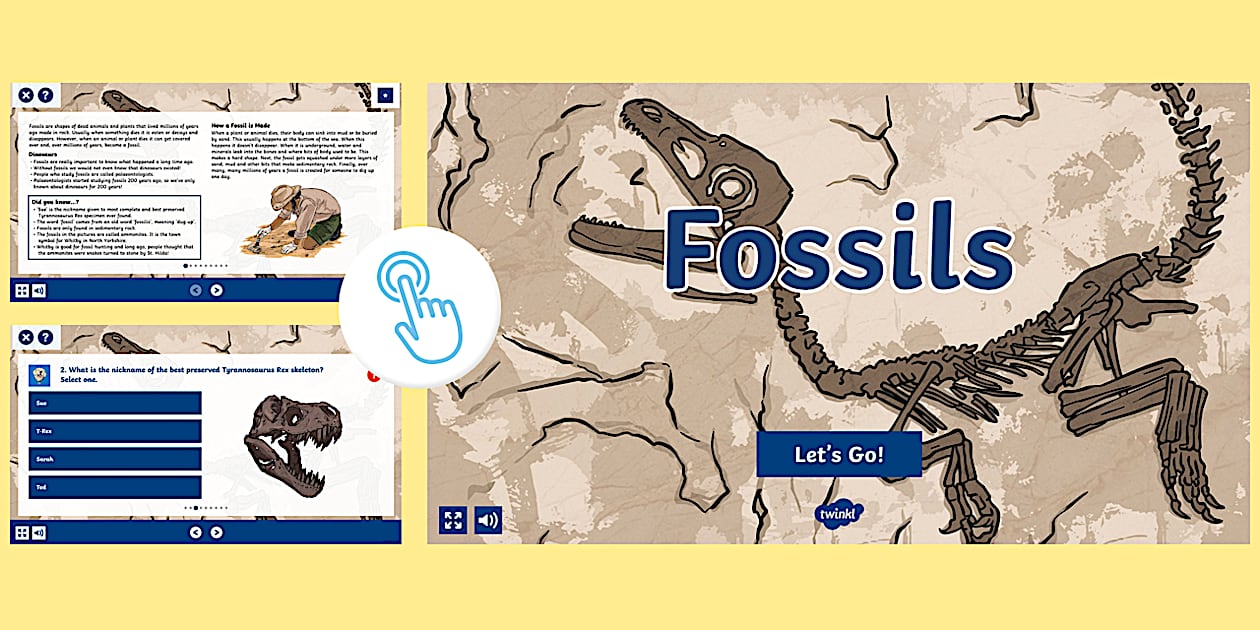 Fossils Self-Marking Reading Comprehension Activity - Twinkl