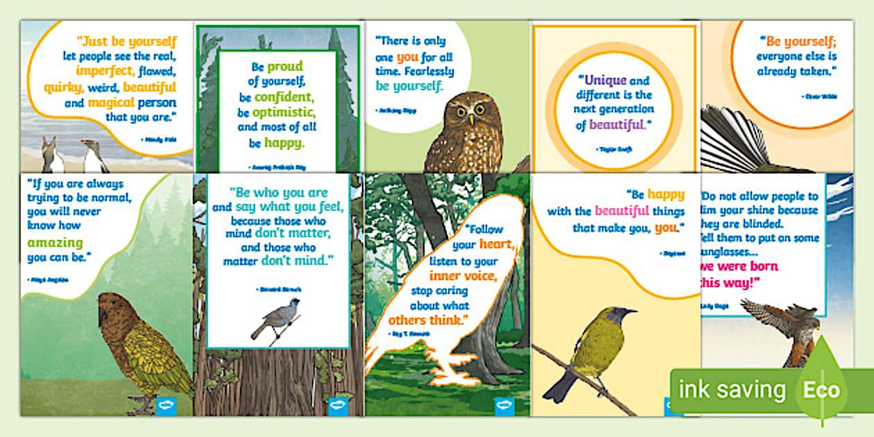 Motivational Quotes New Zealand Native Bird Themed - Twinkl