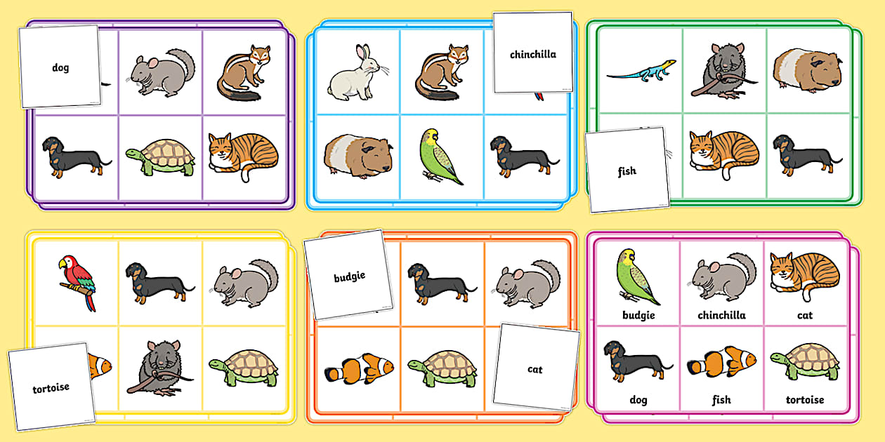 Pets Themed Bingo (teacher made) - Twinkl