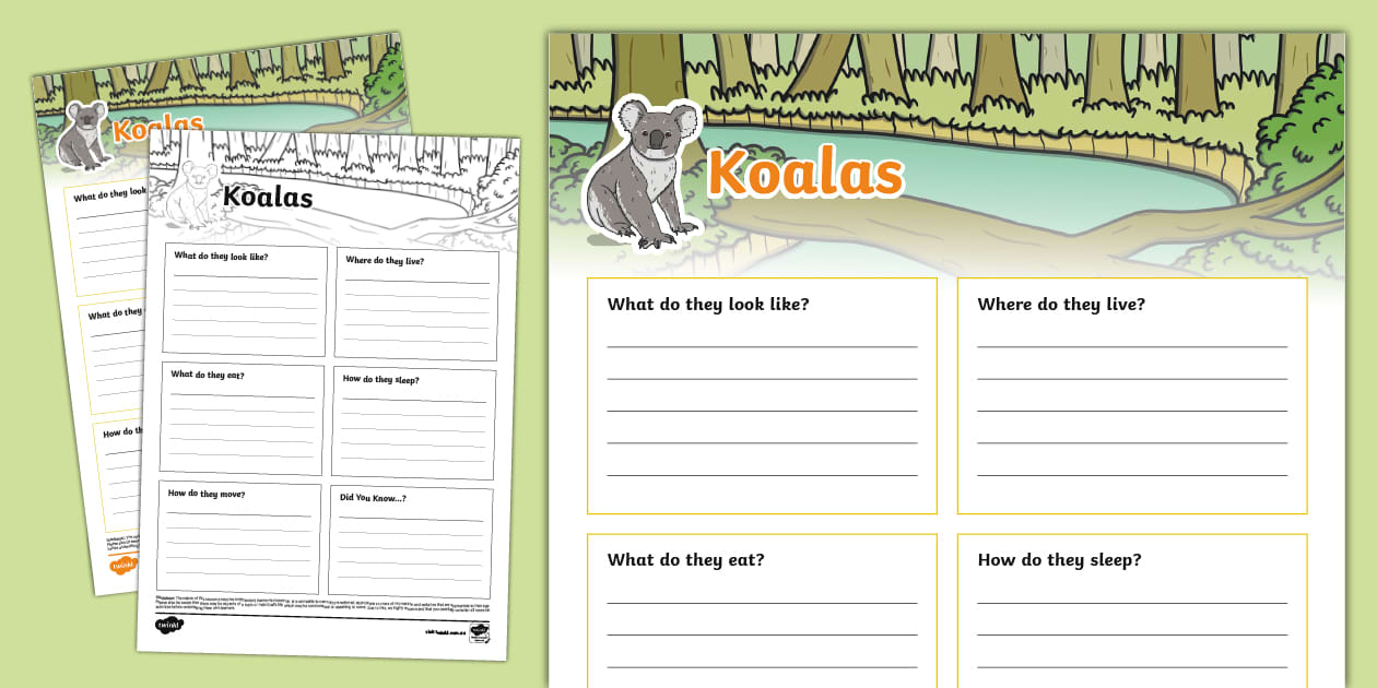 Koala Fact File Template (Teacher-Made) - Twinkl