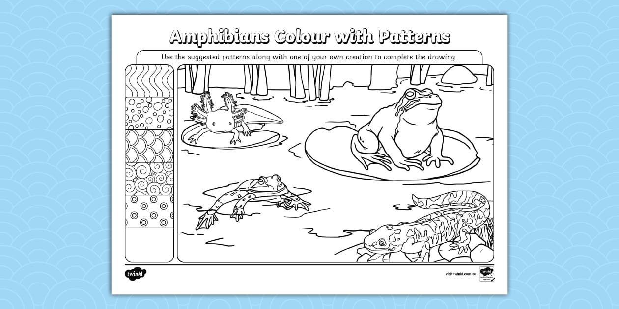 * NEW * Amphibians Colouring by Patterns Activity - Twinkl