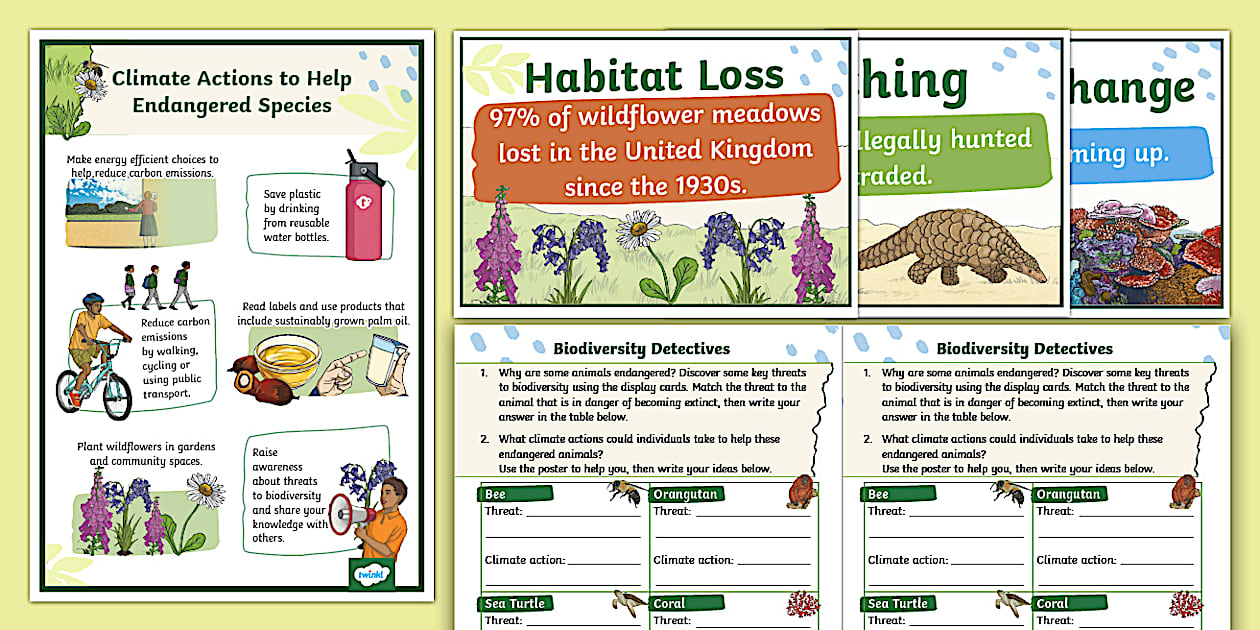 Biodiversity Detectives Pack - Twinkl KS2 (teacher made)