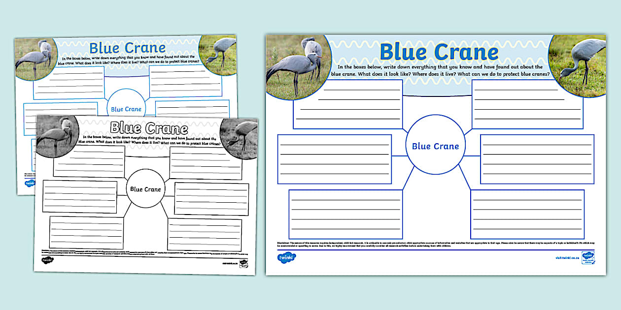 Blue Crane Mind Map
